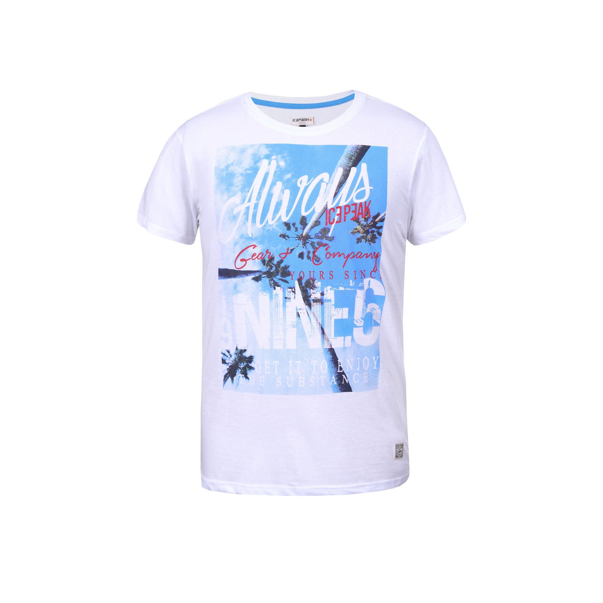 Icepeak outdoor T-shirt Mario wit/blauw | wehkamp Icepeak outdoor T-shirt Mario wit/blauw | wehkamp