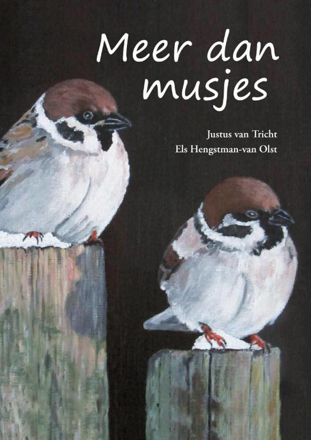 Justus van Tricht en Els Hengstman-van Olst Meer dan musjes | wehkamp