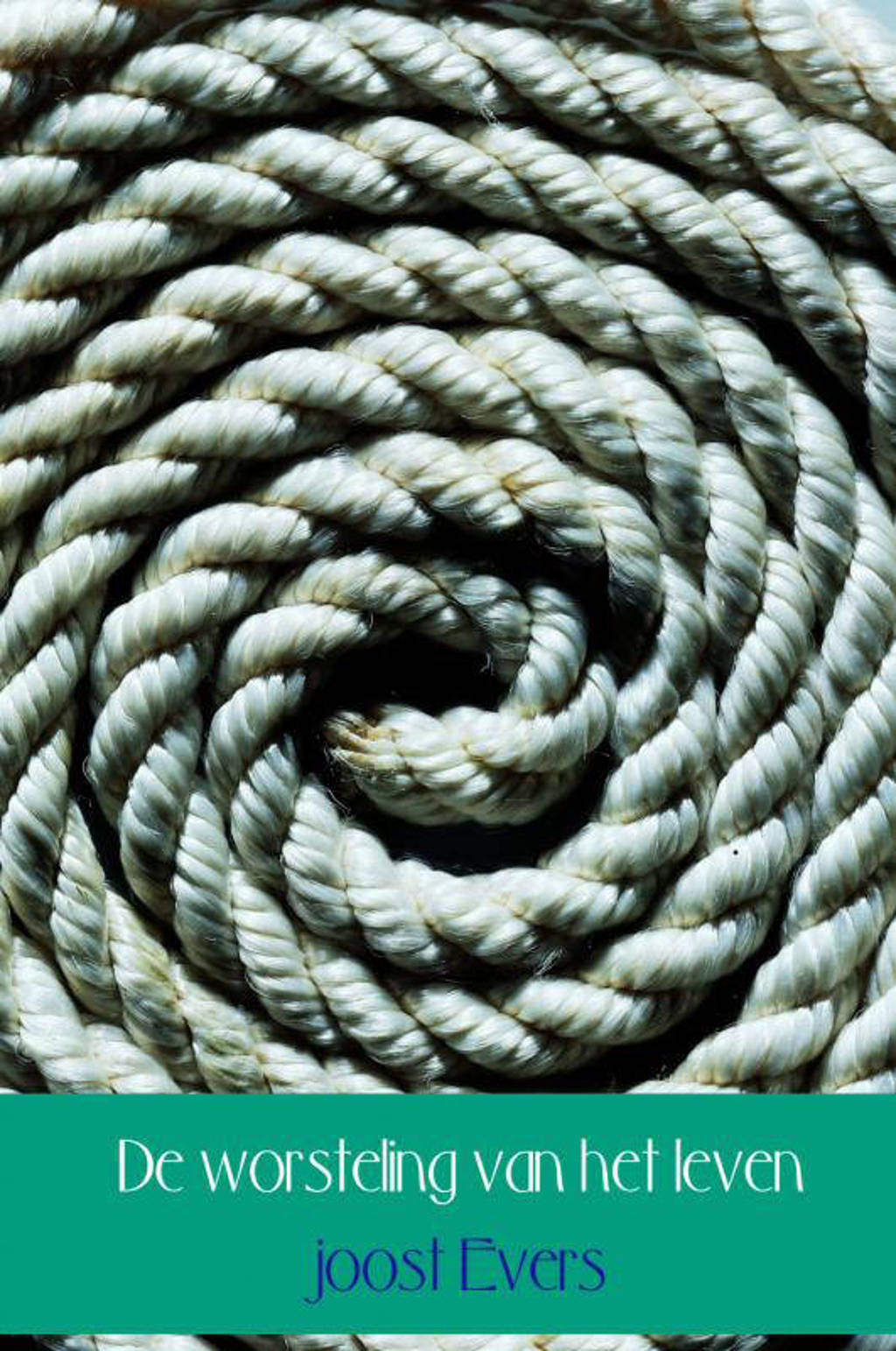 Joost Evers De worsteling van het leven | wehkamp