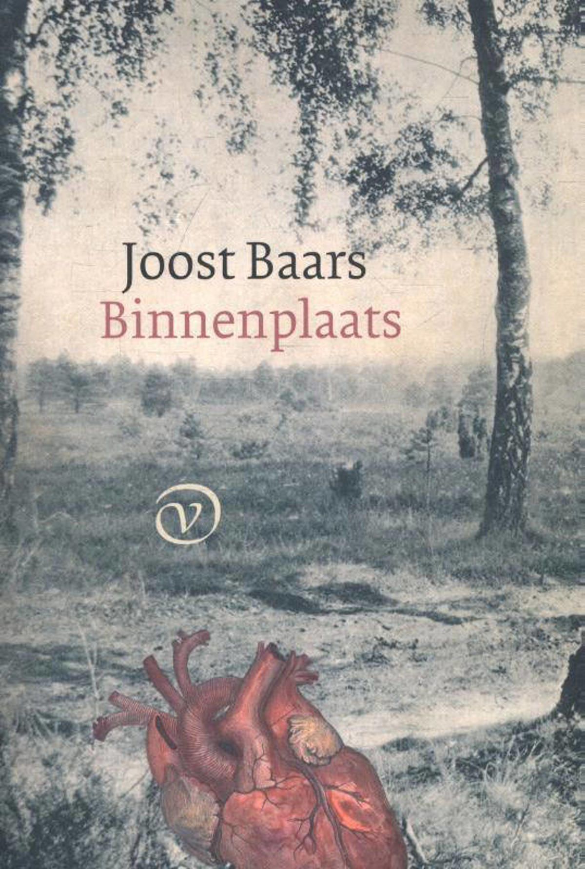 Joost Baars Binnenplaats kopen? | Morgen in huis | wehkamp