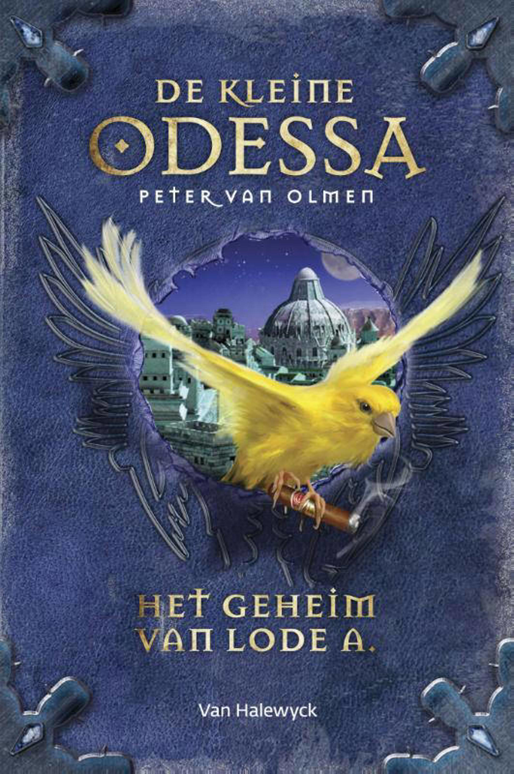 Peter van Olmen De kleine Odessa: Het geheim van Lode A | wehkamp