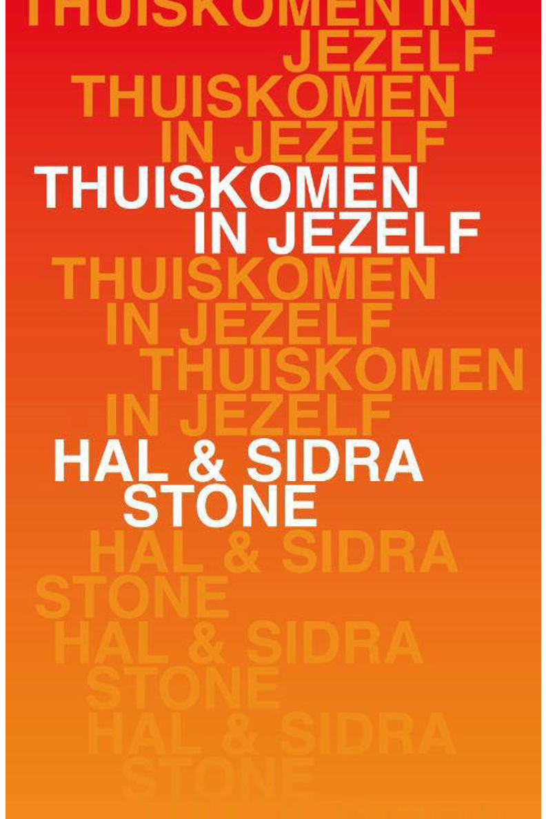 Hal Stone en Sidra Stone Thuiskomen in jezelf | wehkamp