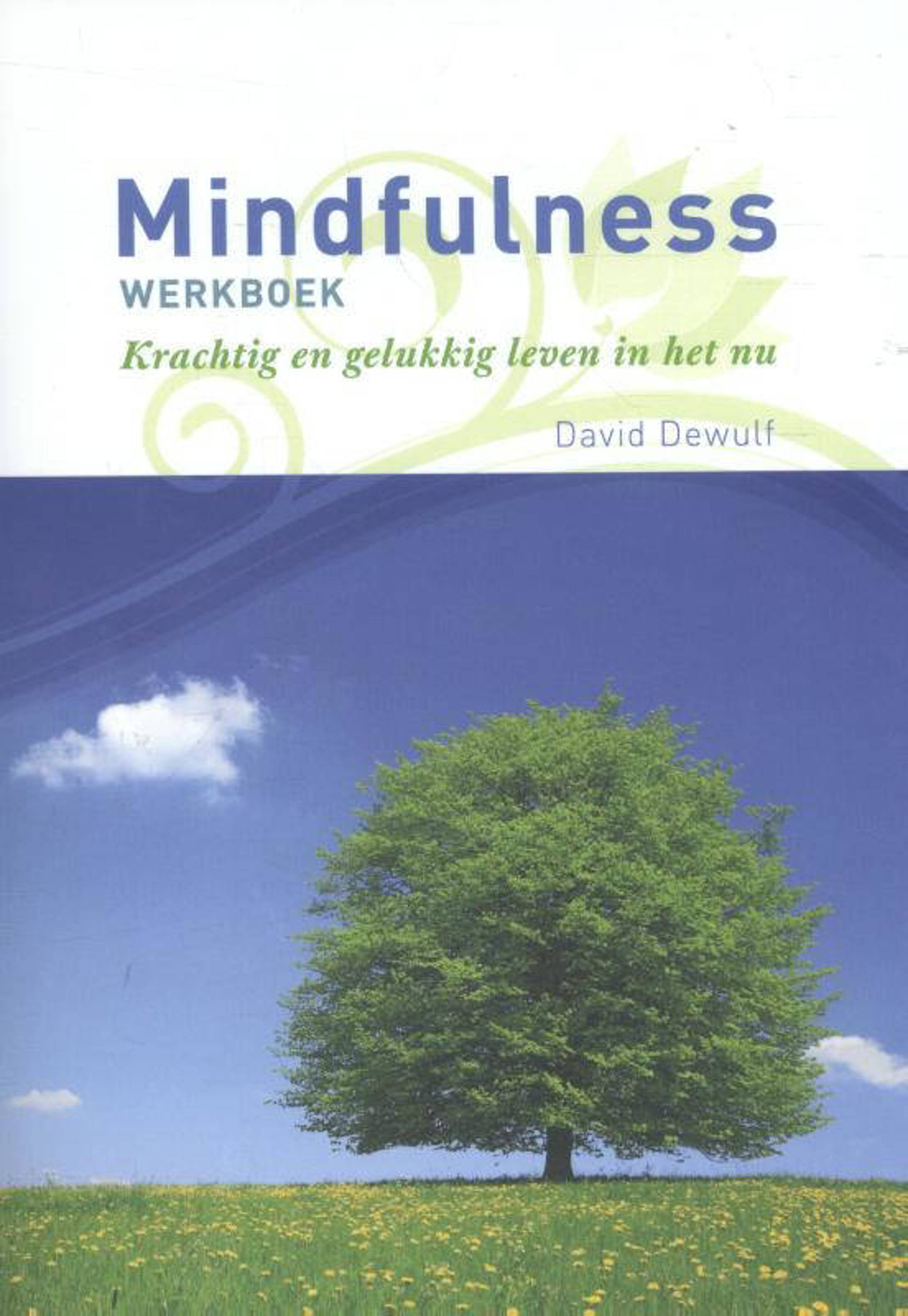 David Dewulf Mindfulness werkboek | wehkamp