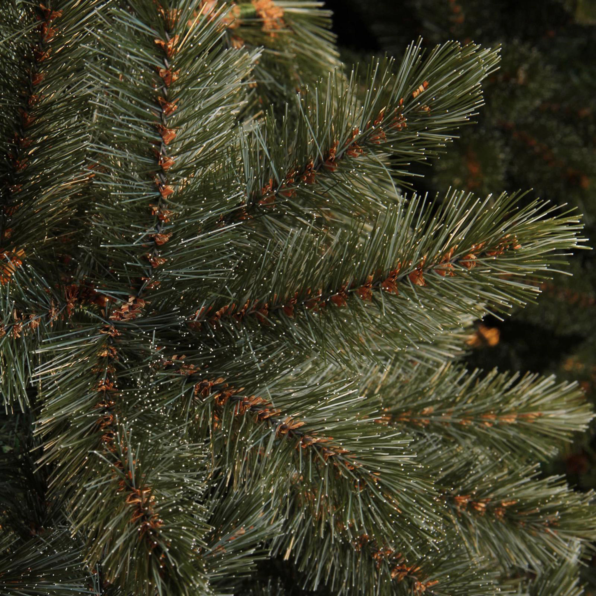 Triumph Tree kerstboom Forest Frosted (h185 x Ø130 cm) | wehkamp