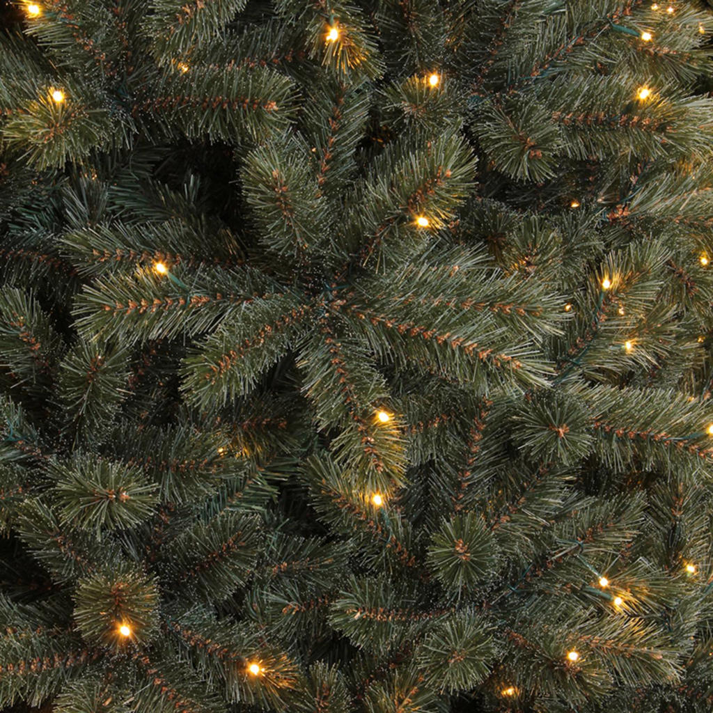Triumph Tree verlichte kerstboom Forest Frosted (h155 x Ø119 cm) | wehkamp