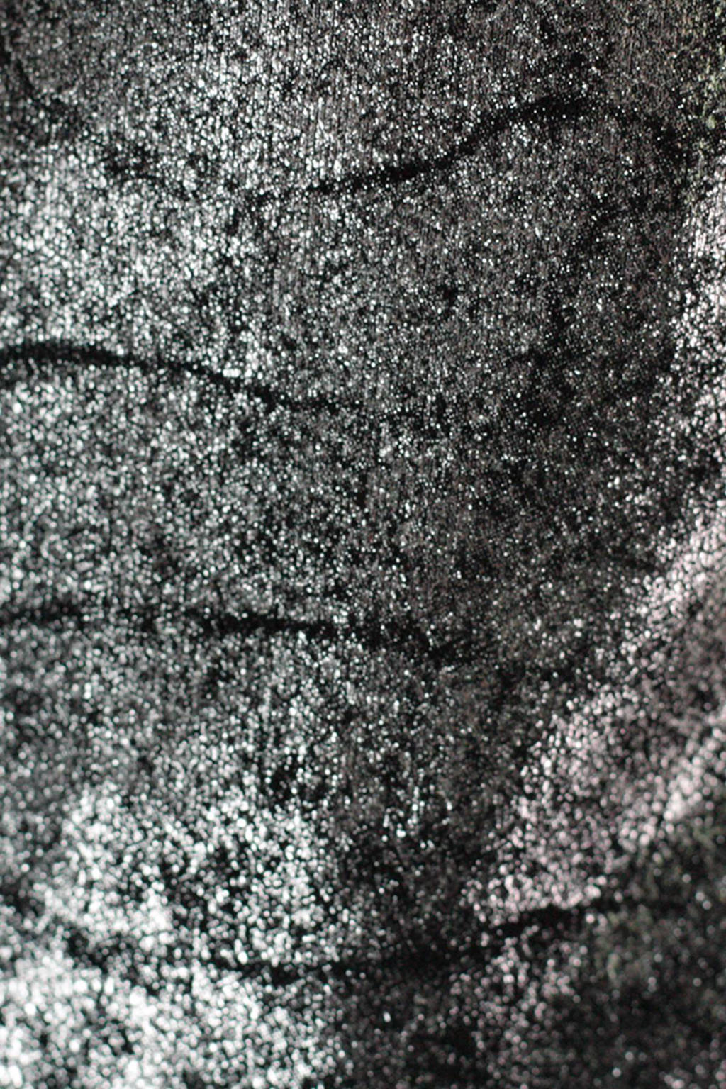 CoolCat jas metallic | wehkamp