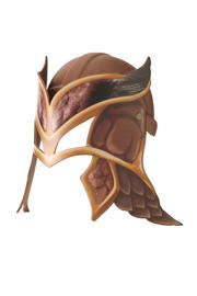 Efteling Raveleijn helm bruin incl. masker Joost | wehkamp