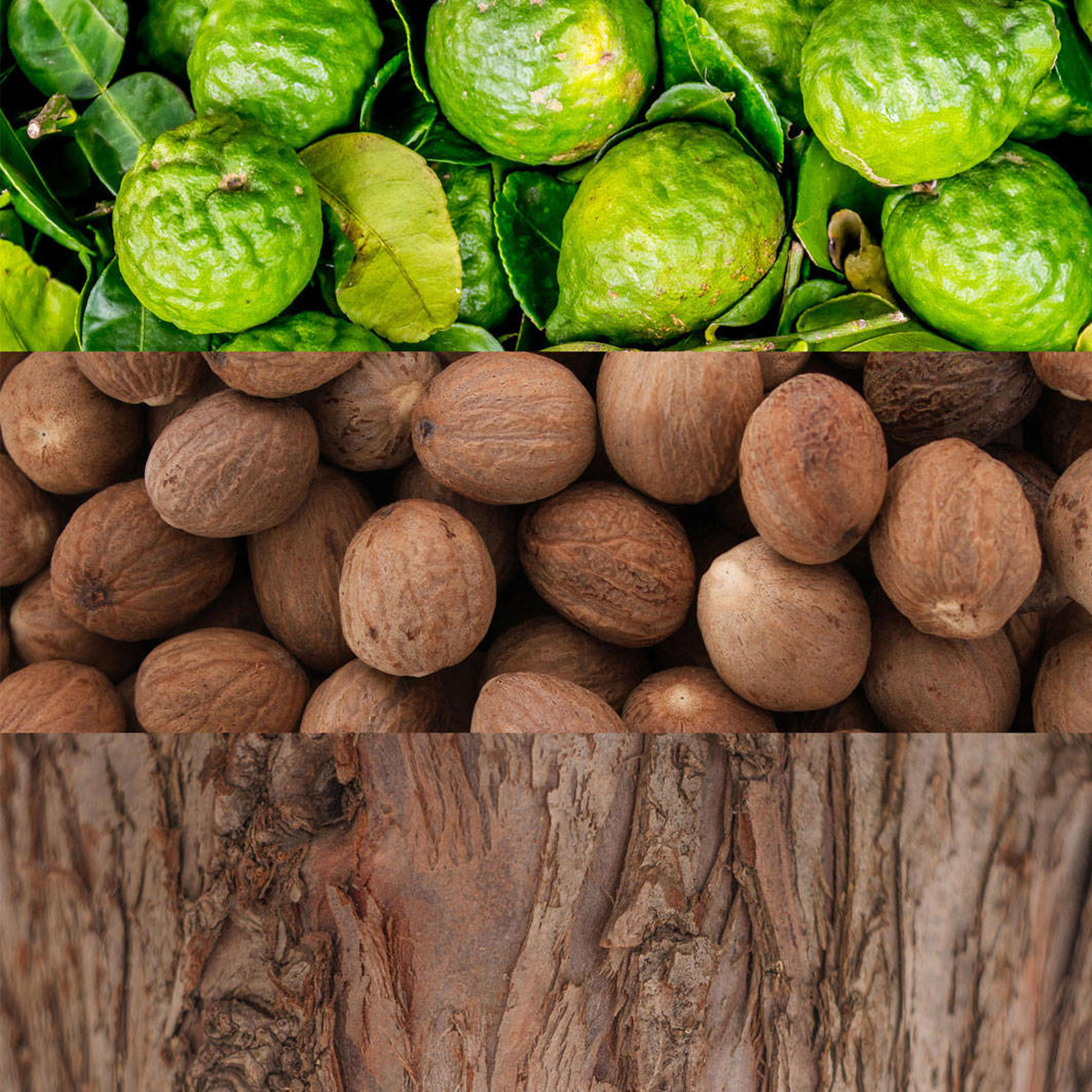 Calvin Klein Man eau de toilette - 100 ml | wehkamp