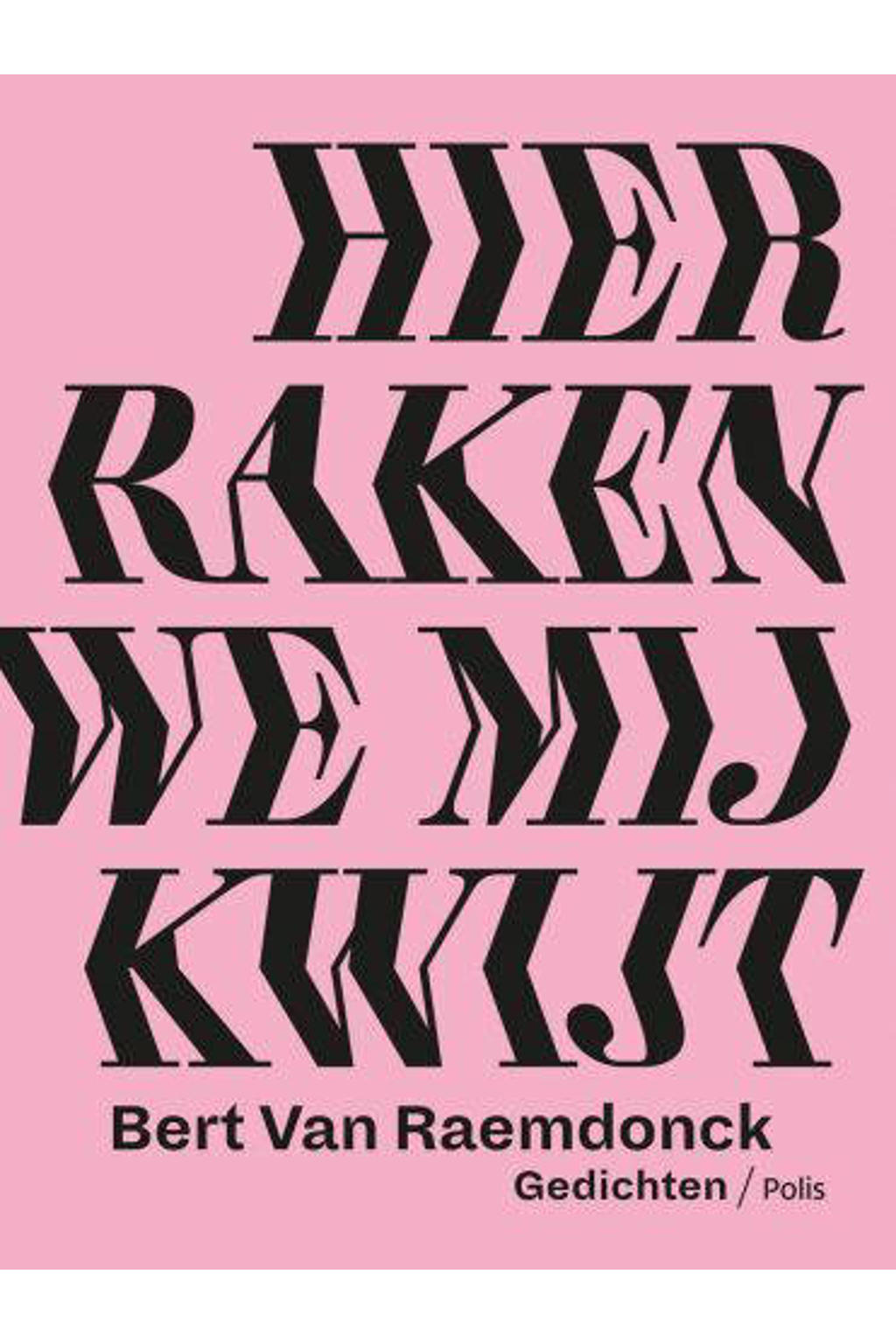 Bert Van Raemdonck Hier raken we mij kwijt | wehkamp