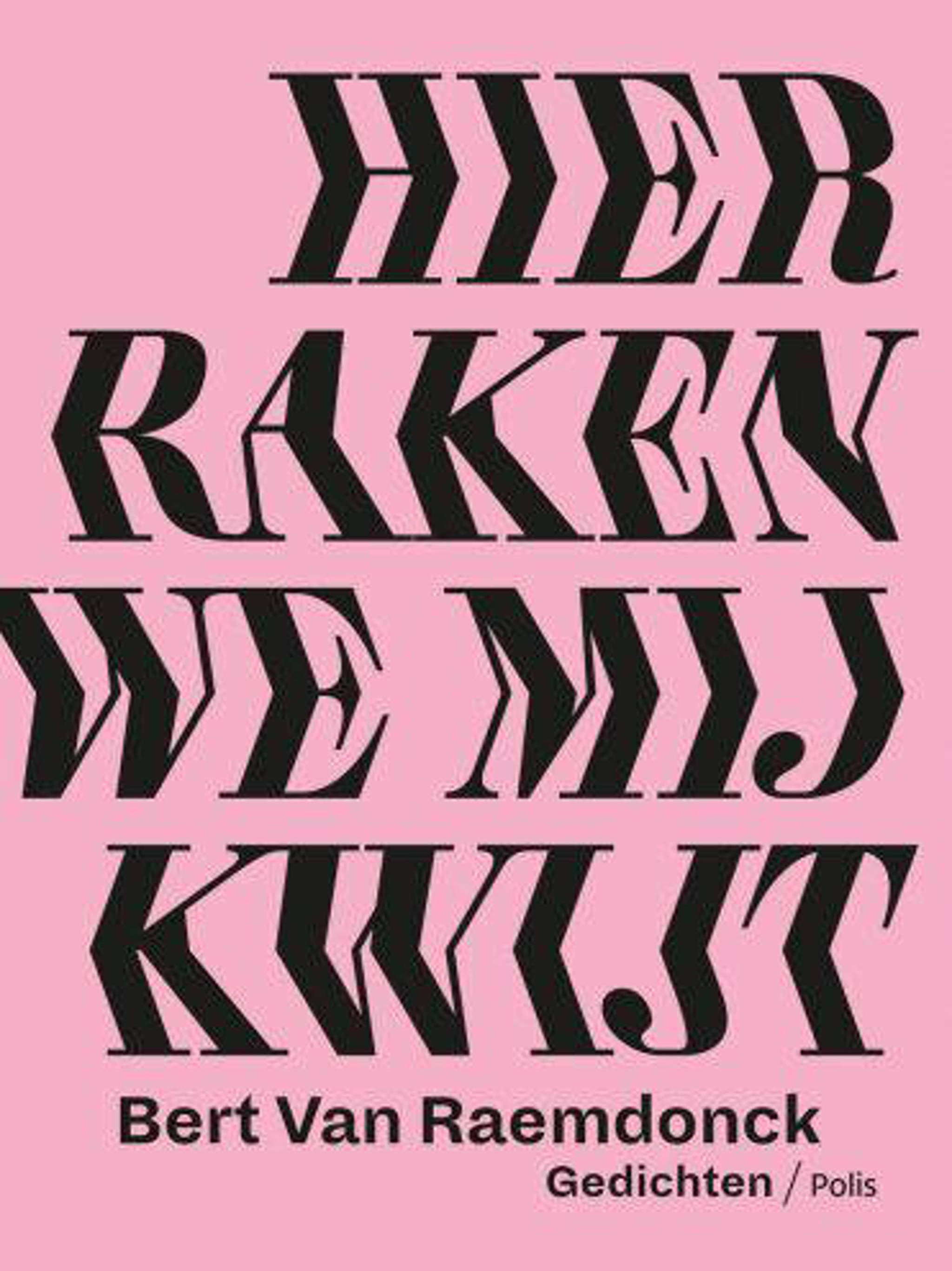 Bert Van Raemdonck Hier raken we mij kwijt | wehkamp