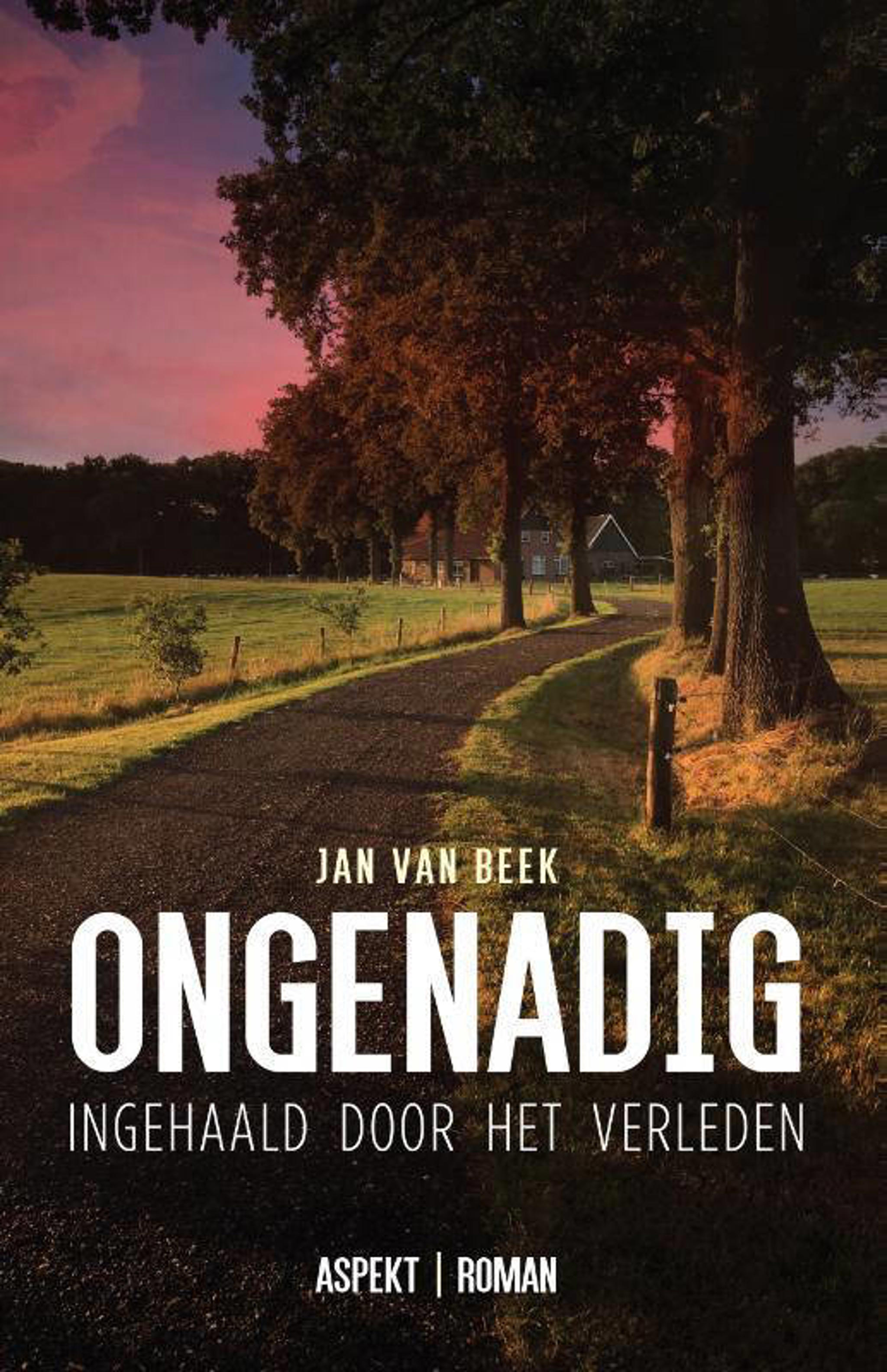 Jan van Beek Ongenadig kopen? | Morgen in huis | wehkamp