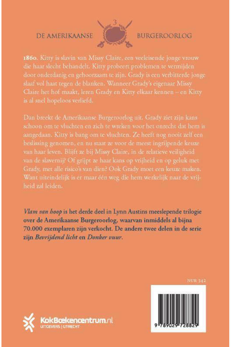 Lynn Austin Amerikaanse Burgeroorlog: Vlam van hoop | wehkamp