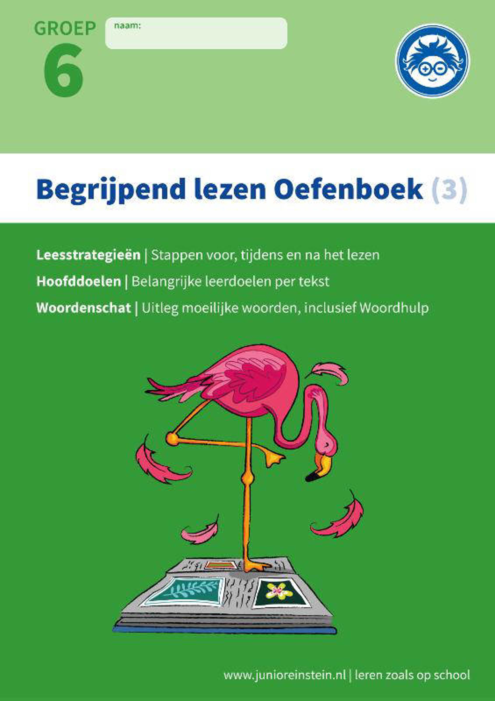 Deel 3: Begrijpend Lezen 3 Verschillende type teksten en bijbehorende ...