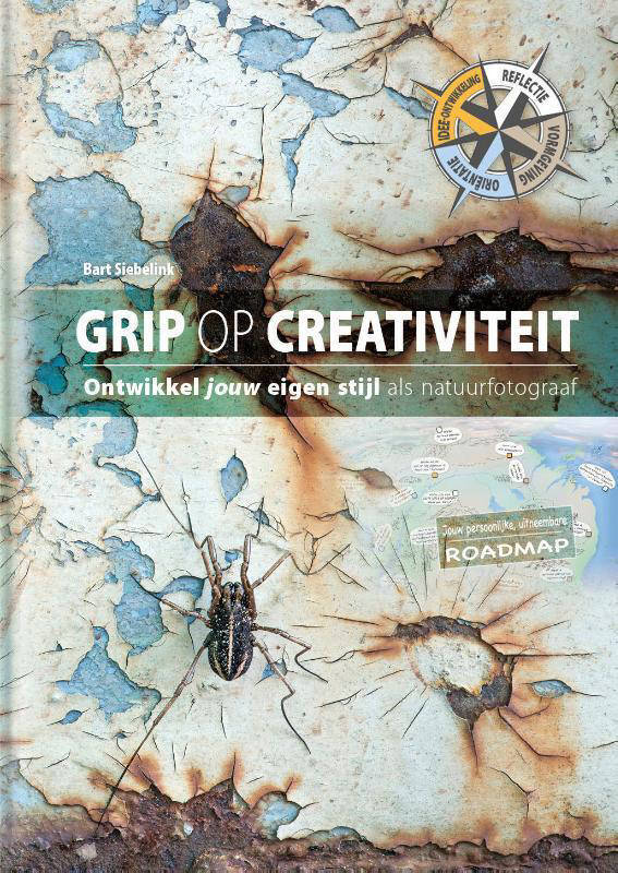 Bart Siebelink Grip op creativiteit | wehkamp