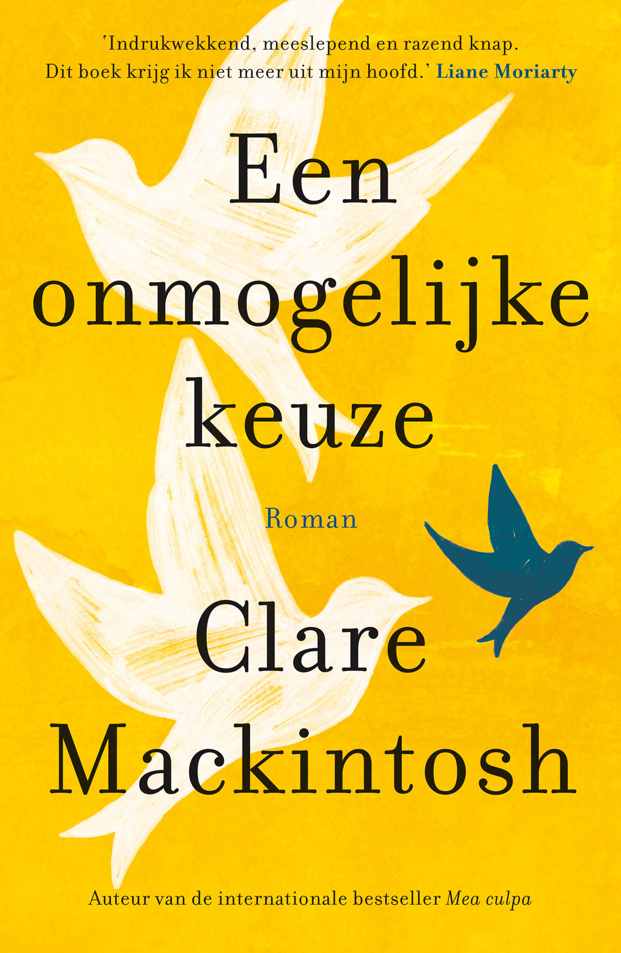 Clare Mackintosh Een onmogelijke keuze | wehkamp