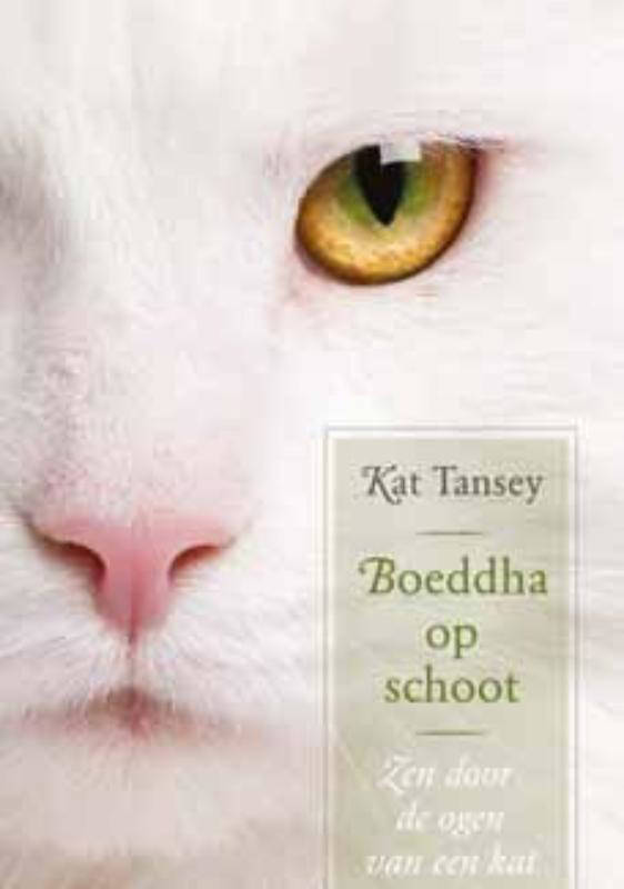 Kat Tansey Boeddha op schoot kopen? | Morgen in huis | wehkamp