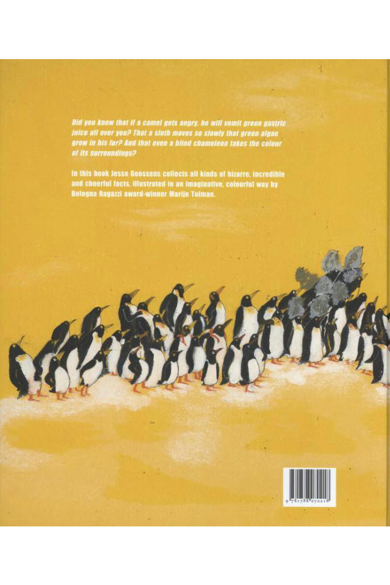 Jesse Goossens Jumping Penguins & | wehkamp