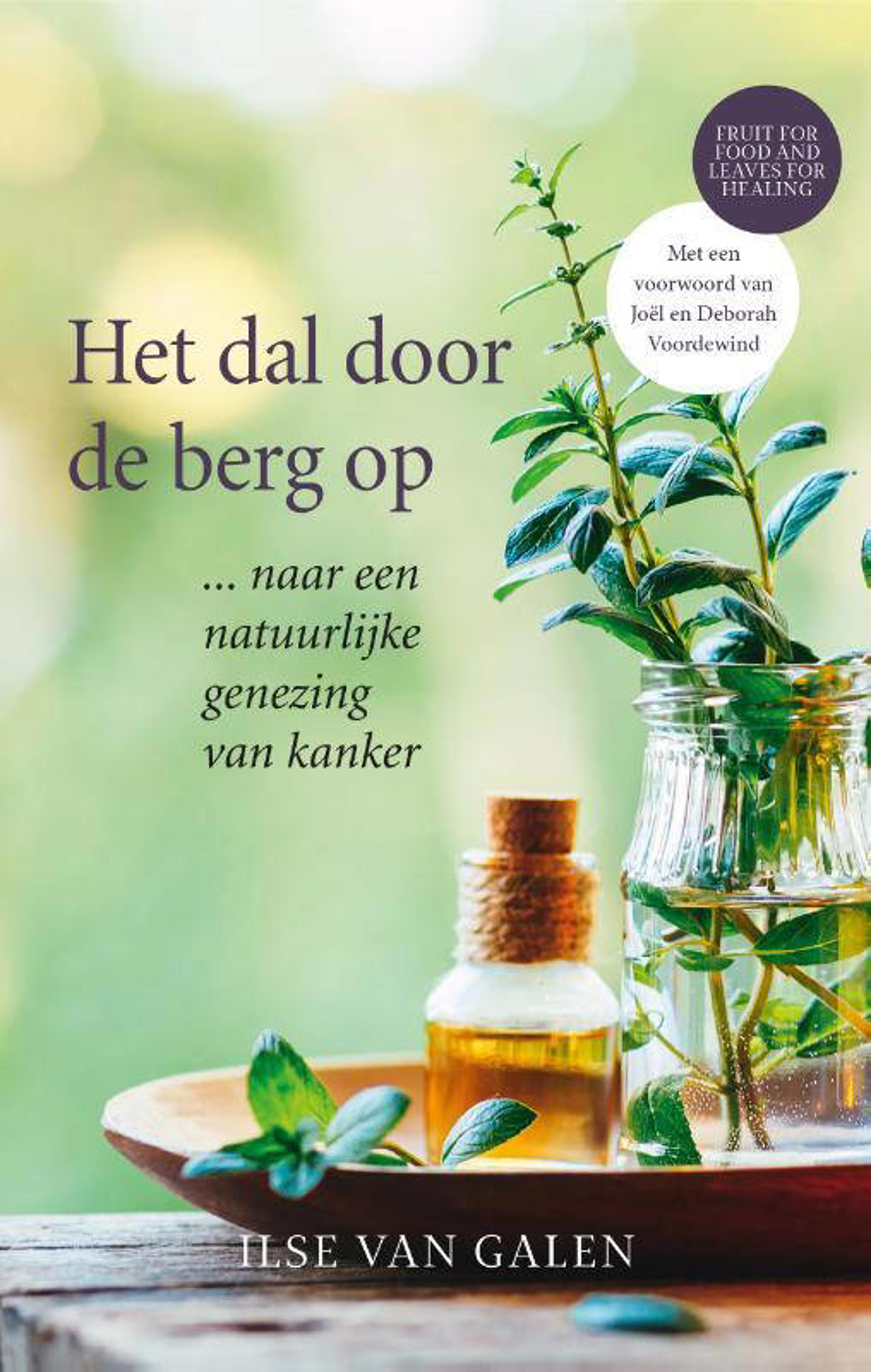 Ilse van Galen Het dal door de berg op | wehkamp