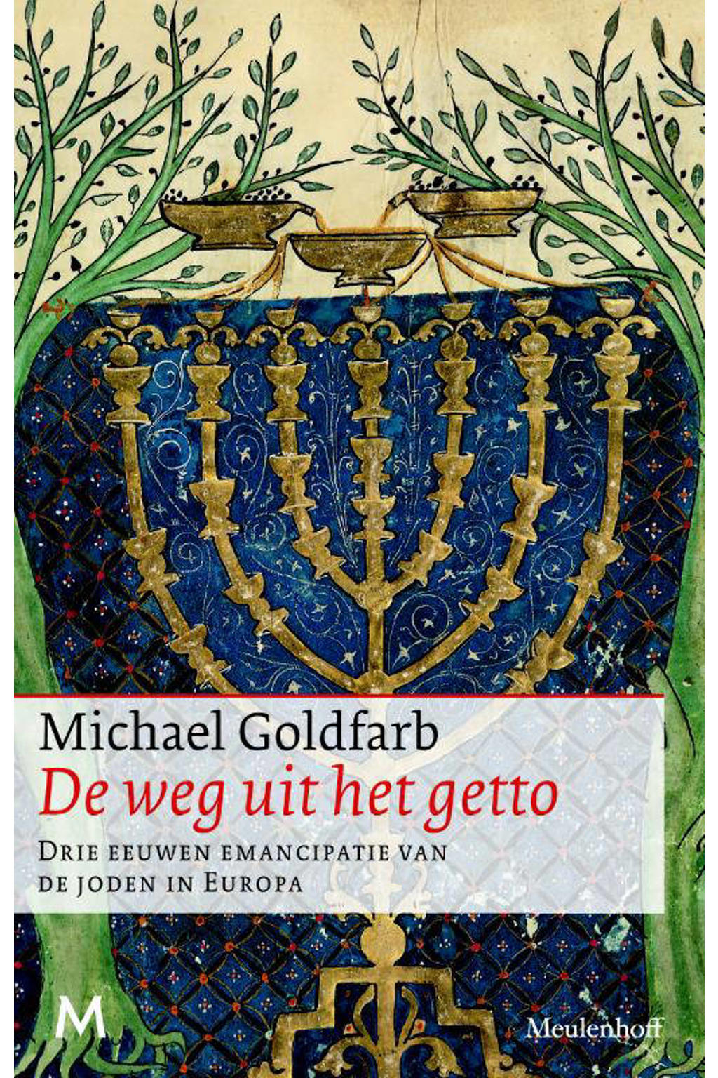 Michael Goldfarb De weg uit het getto | wehkamp