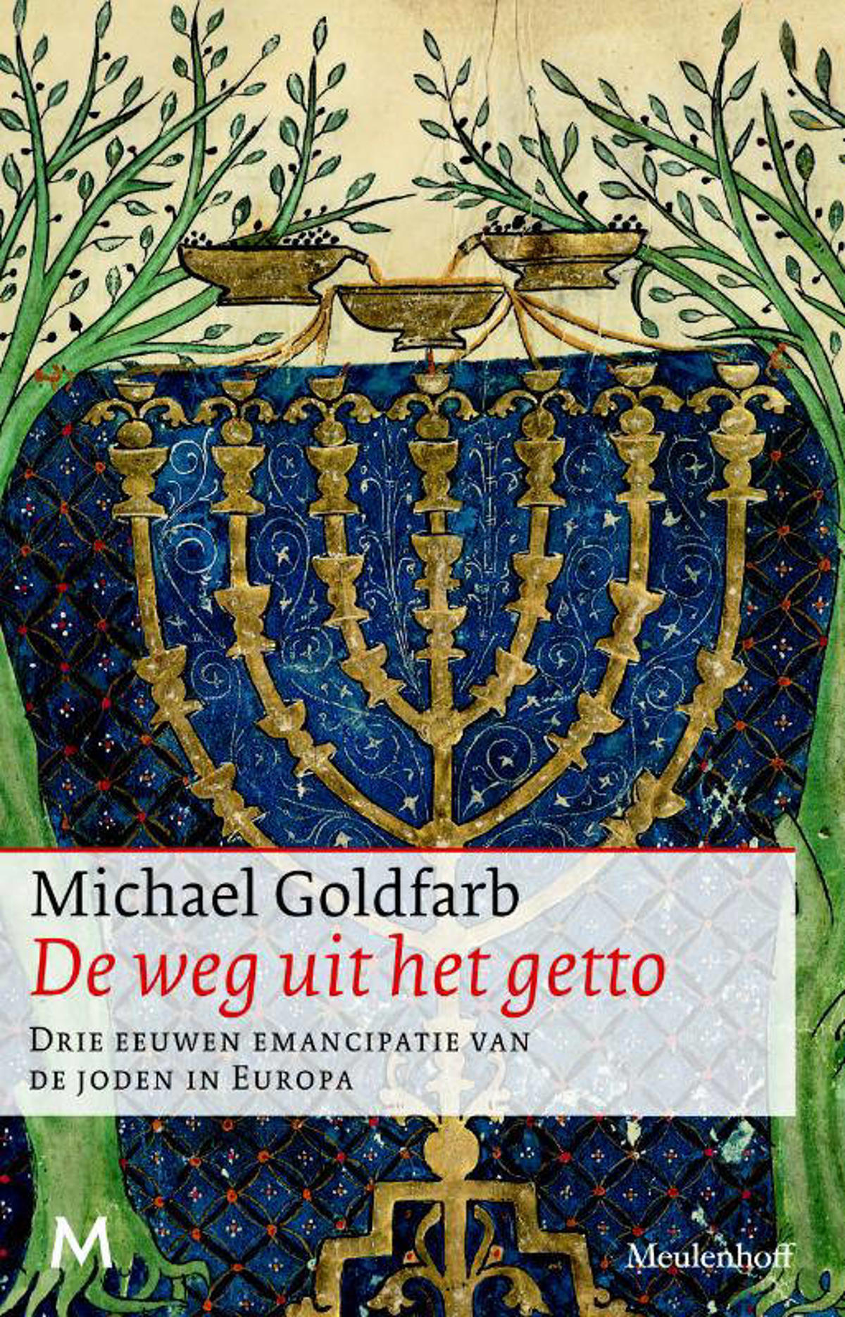 Michael Goldfarb De weg uit het getto | wehkamp