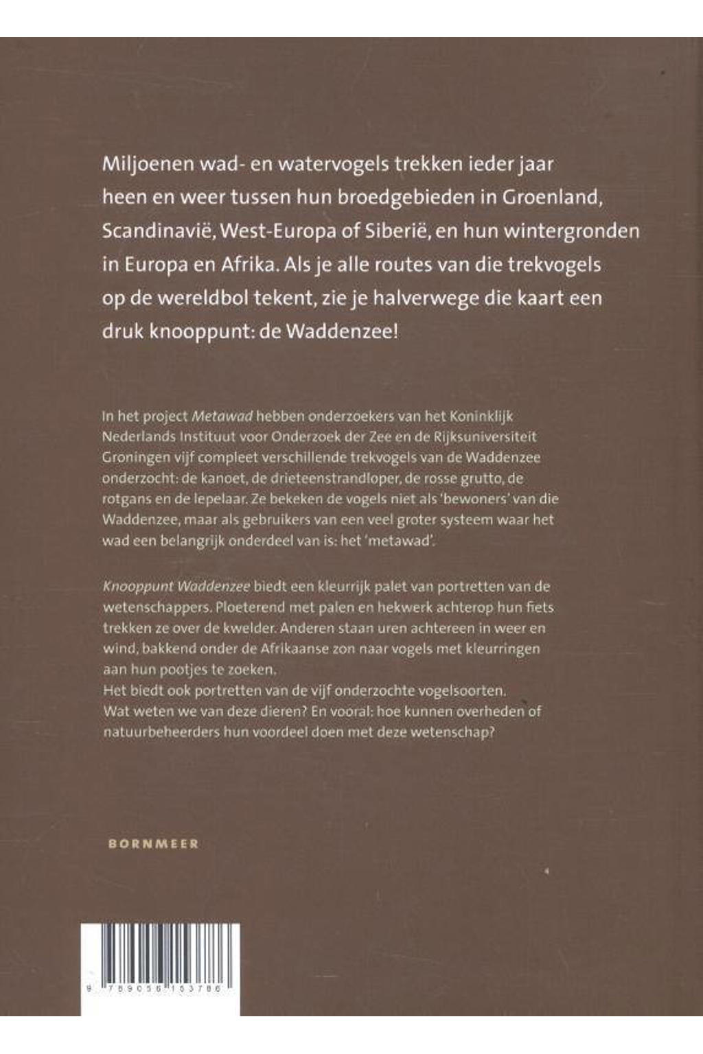 Rob Buiter, Laura Govers en Theunis Piersma Knooppunt Waddenzee | wehkamp