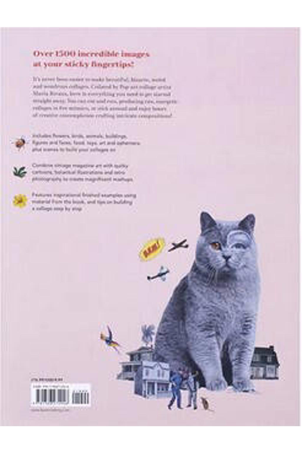 Extraordinary Things to Cut Out and Collage - Rivans | wehkamp