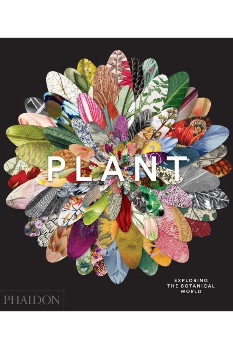 Phaidon Editors, James Compton en Martyn Rix Plant | wehkamp