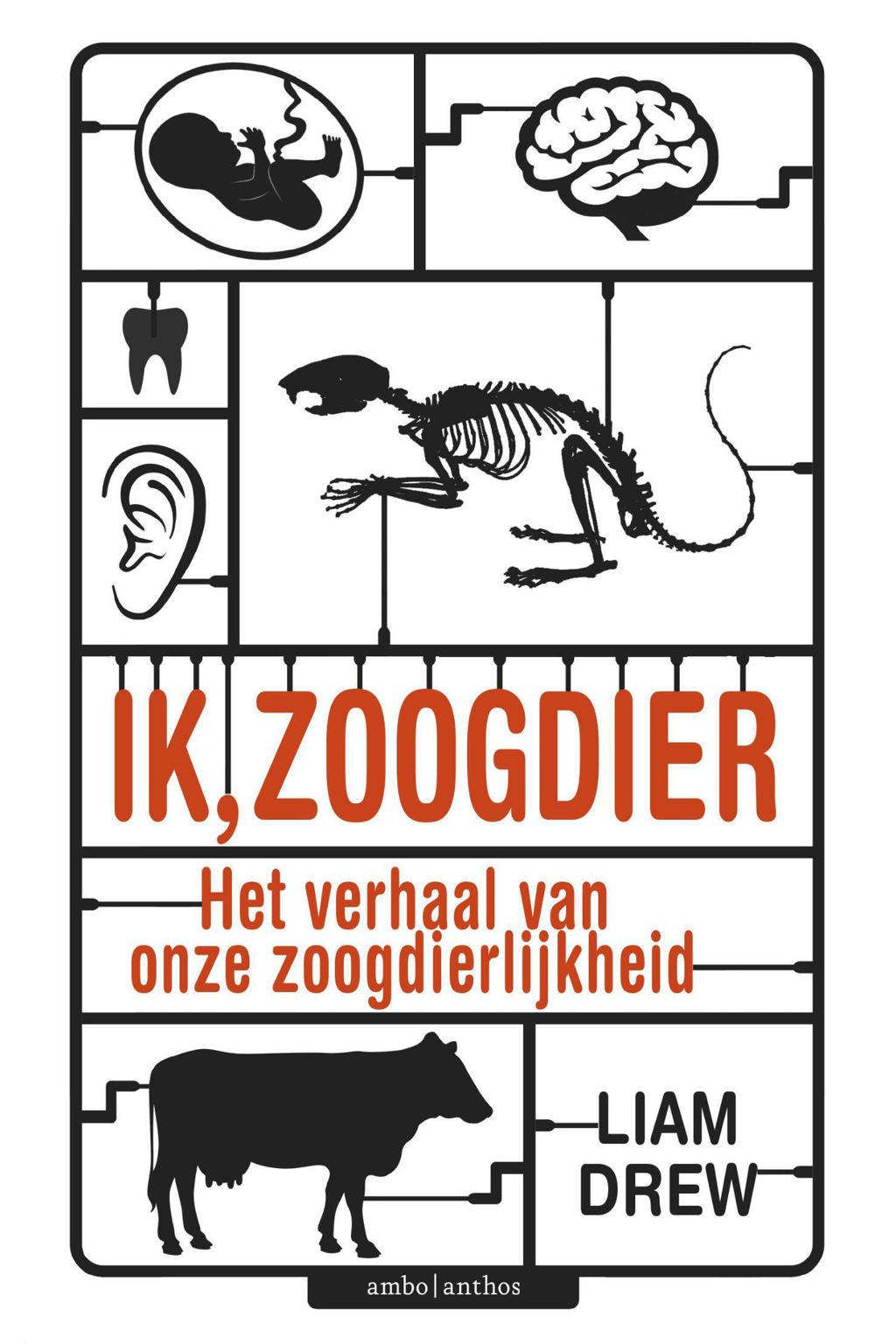 Liam Drew Ik, zoogdier kopen? | Morgen in huis | wehkamp
