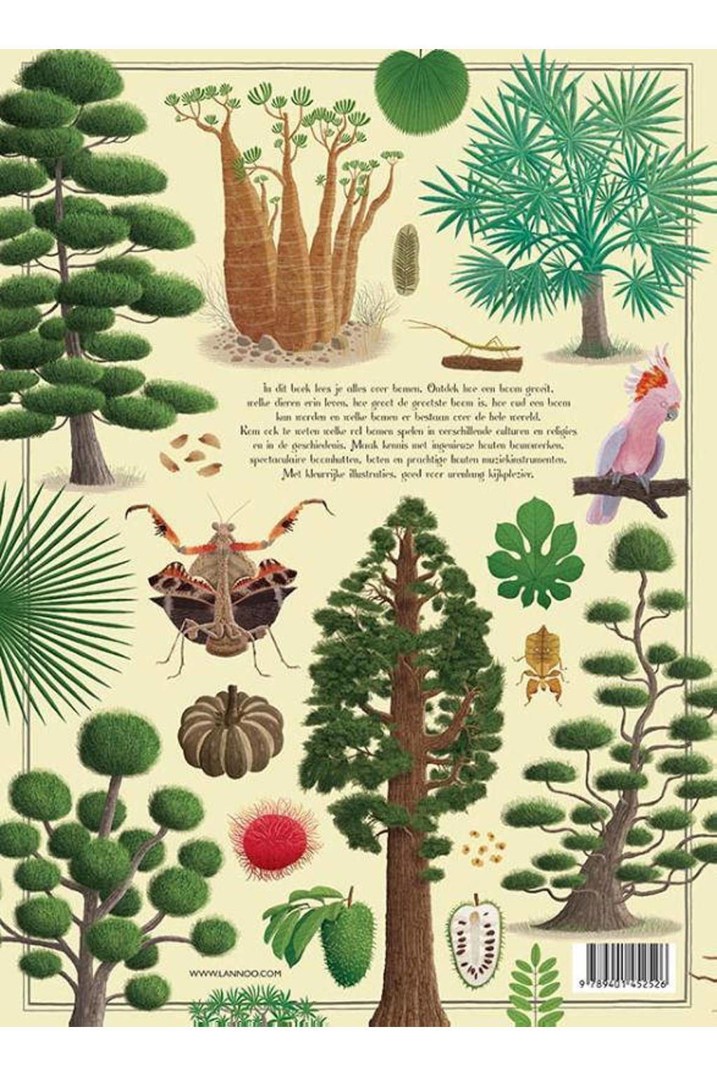 Piotr Socha en Wojciech Grajkowski Het grote bomenboek | wehkamp