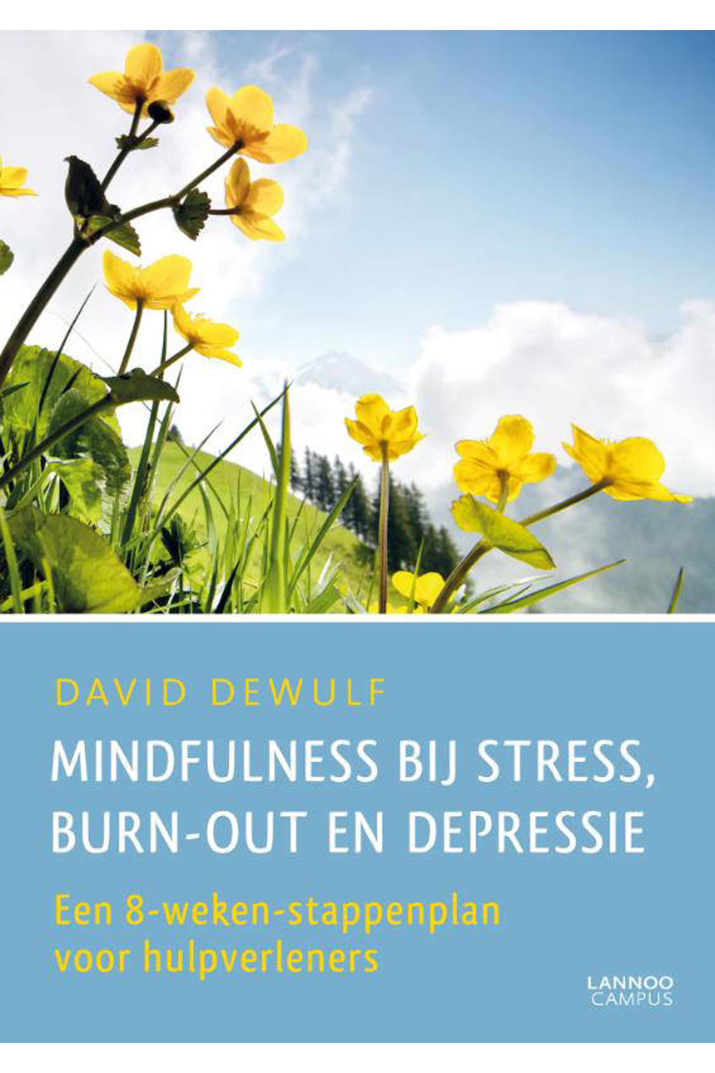 David Dewulf Mindfulness bij stress, burn-out en depressie | wehkamp