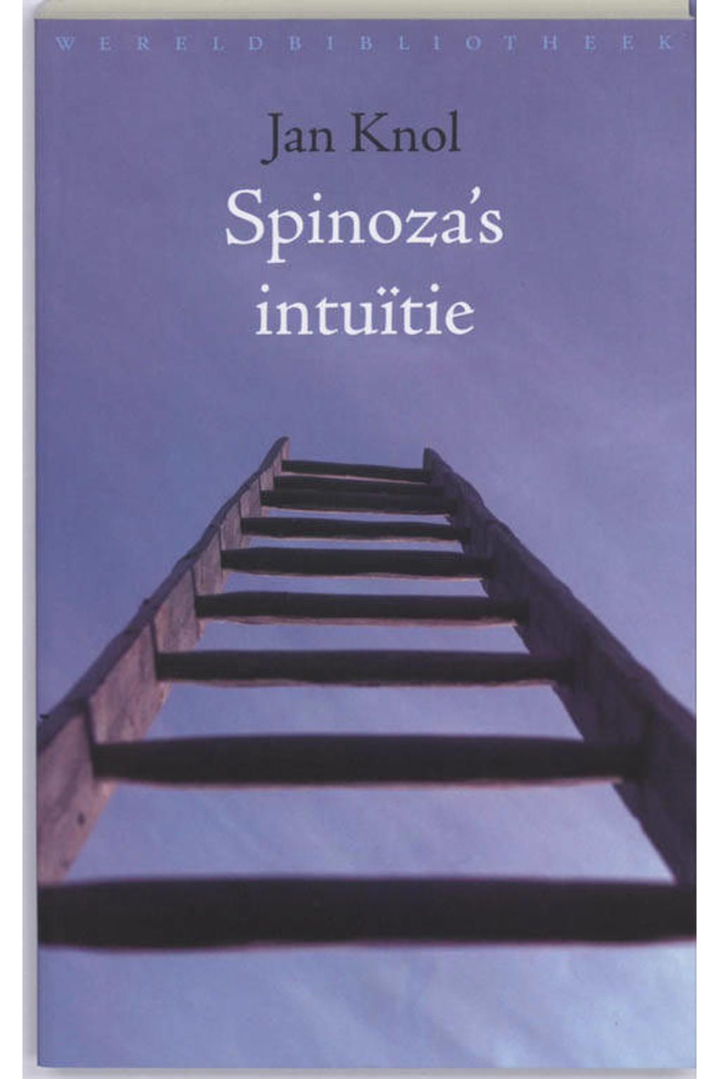 Jan Knol Spinoza's intuitie kopen? | Morgen in huis | wehkamp