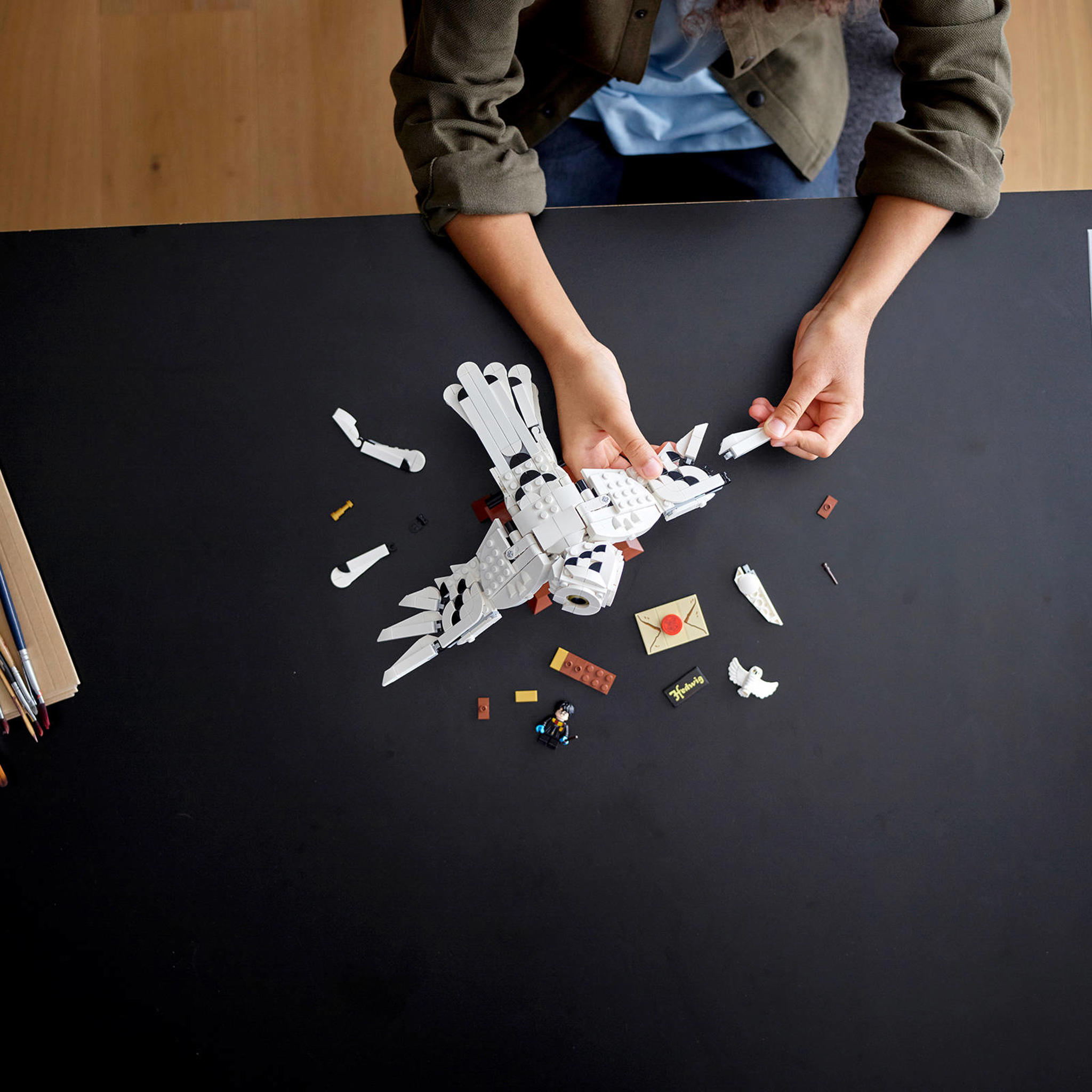 LEGO Harry Potter Hedwig 75979 | wehkamp