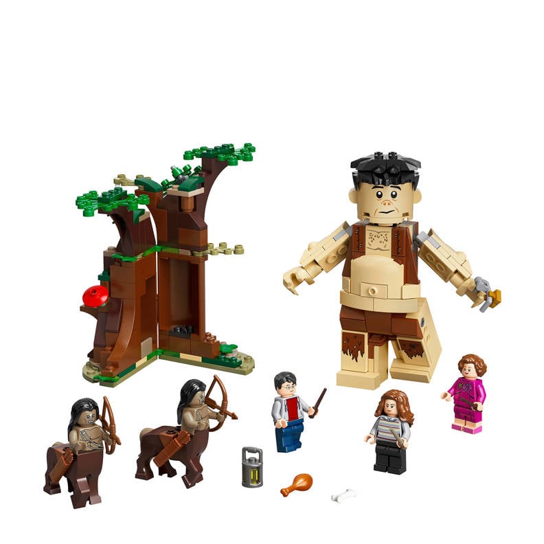 LEGO Harry Potter Het Verboden Bos 75967 | wehkamp