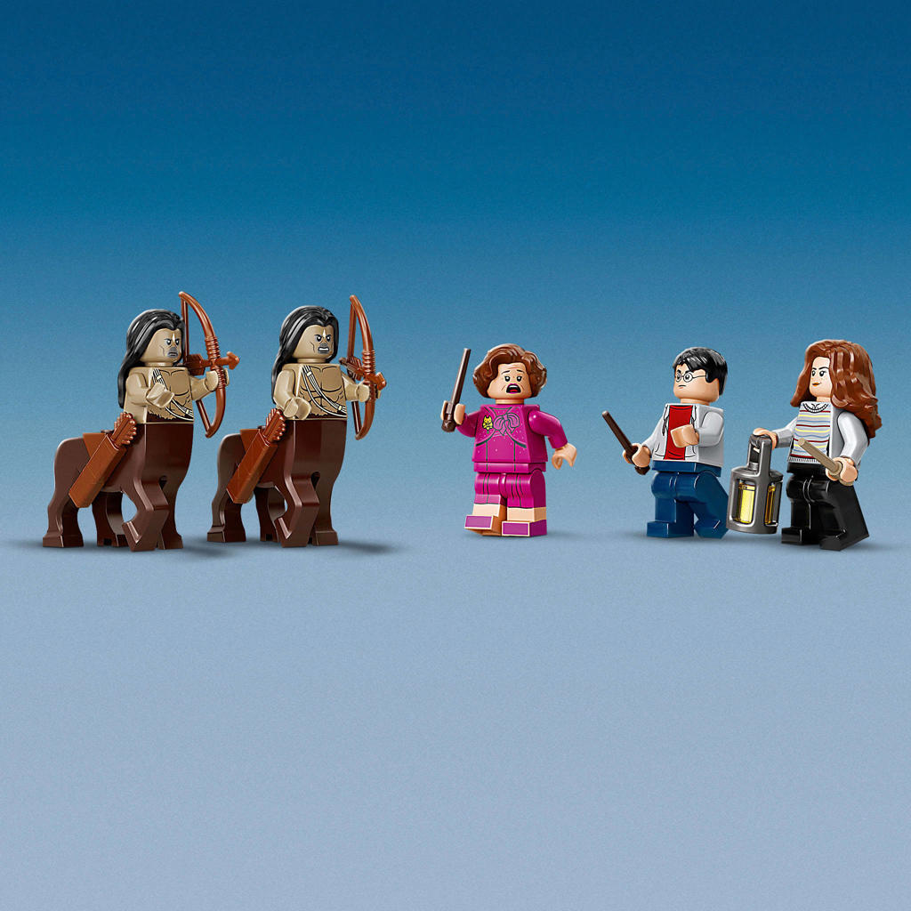 LEGO Harry Potter Het Verboden Bos 75967 | wehkamp