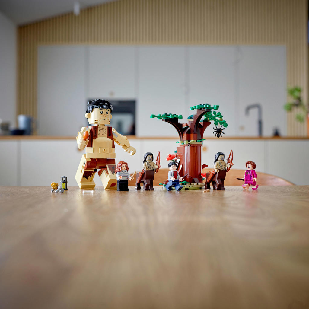 LEGO Harry Potter Het Verboden Bos 75967 | wehkamp