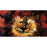 LEGO Ninjago Spinjitzu Burst Cole 70685 | wehkamp