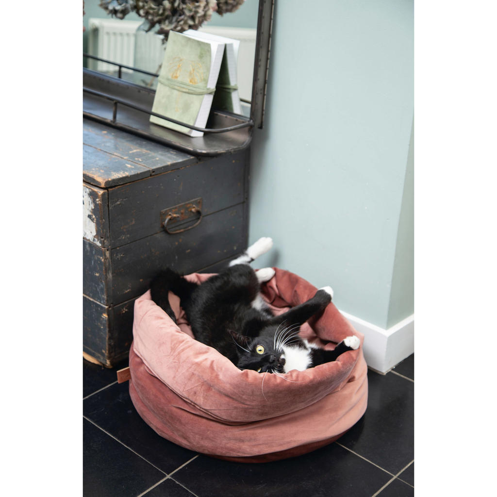 Designed by Lotte Fluco Kattenmand - Fluweel - Roze - 45x45x35 cm | wehkamp