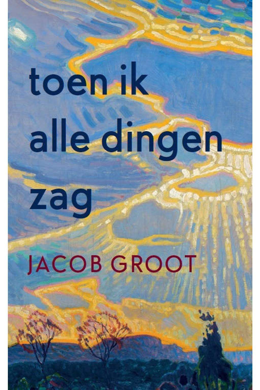 Jacob Groot Toen ik alle dingen zag | wehkamp