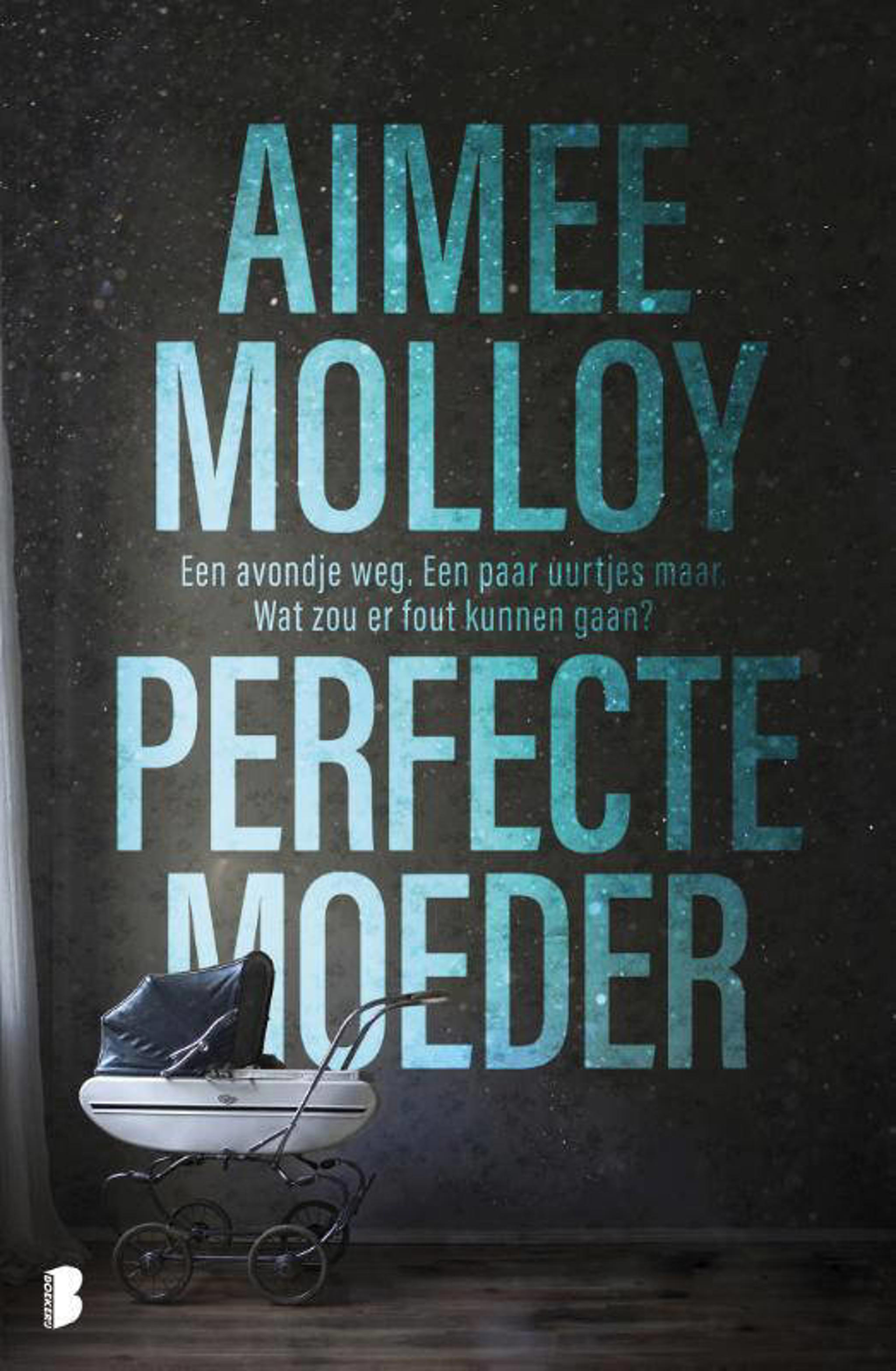 Aimee Molloy Perfecte moeder kopen? | Morgen in huis | wehkamp