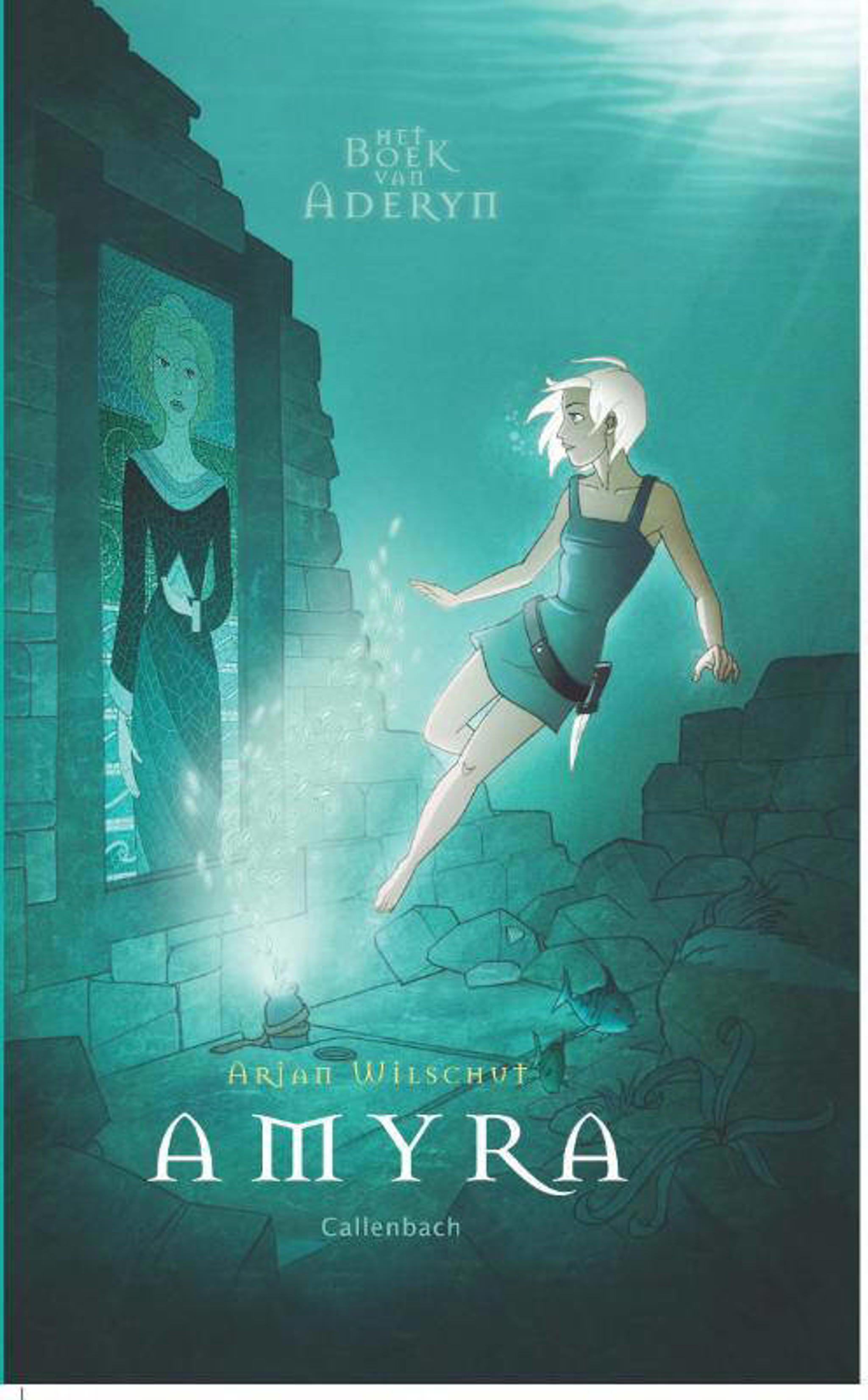 Arjan Wilschut Het boek van Aderyn: Amyra | wehkamp