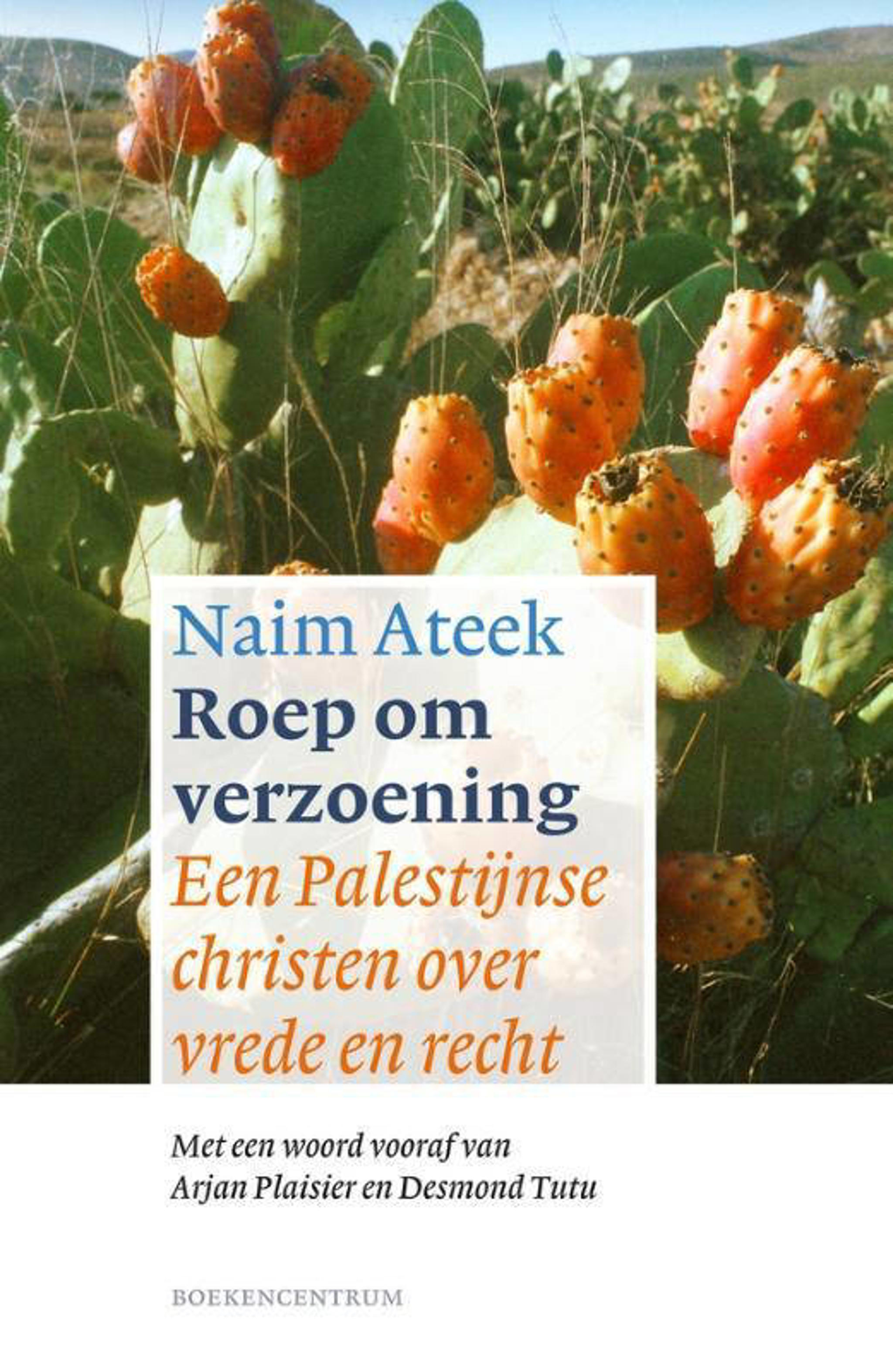 Naim Ateek Roep om verzoening | wehkamp