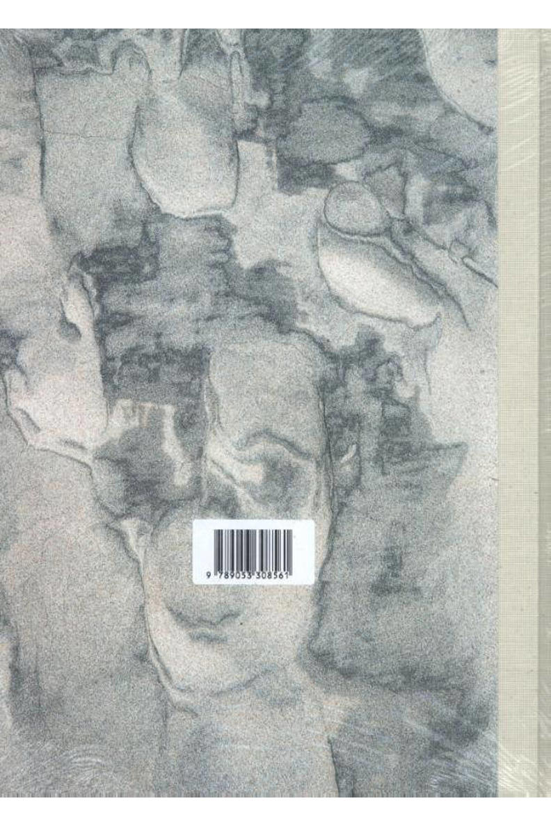 David Batchelder en David Campany Tideland | wehkamp