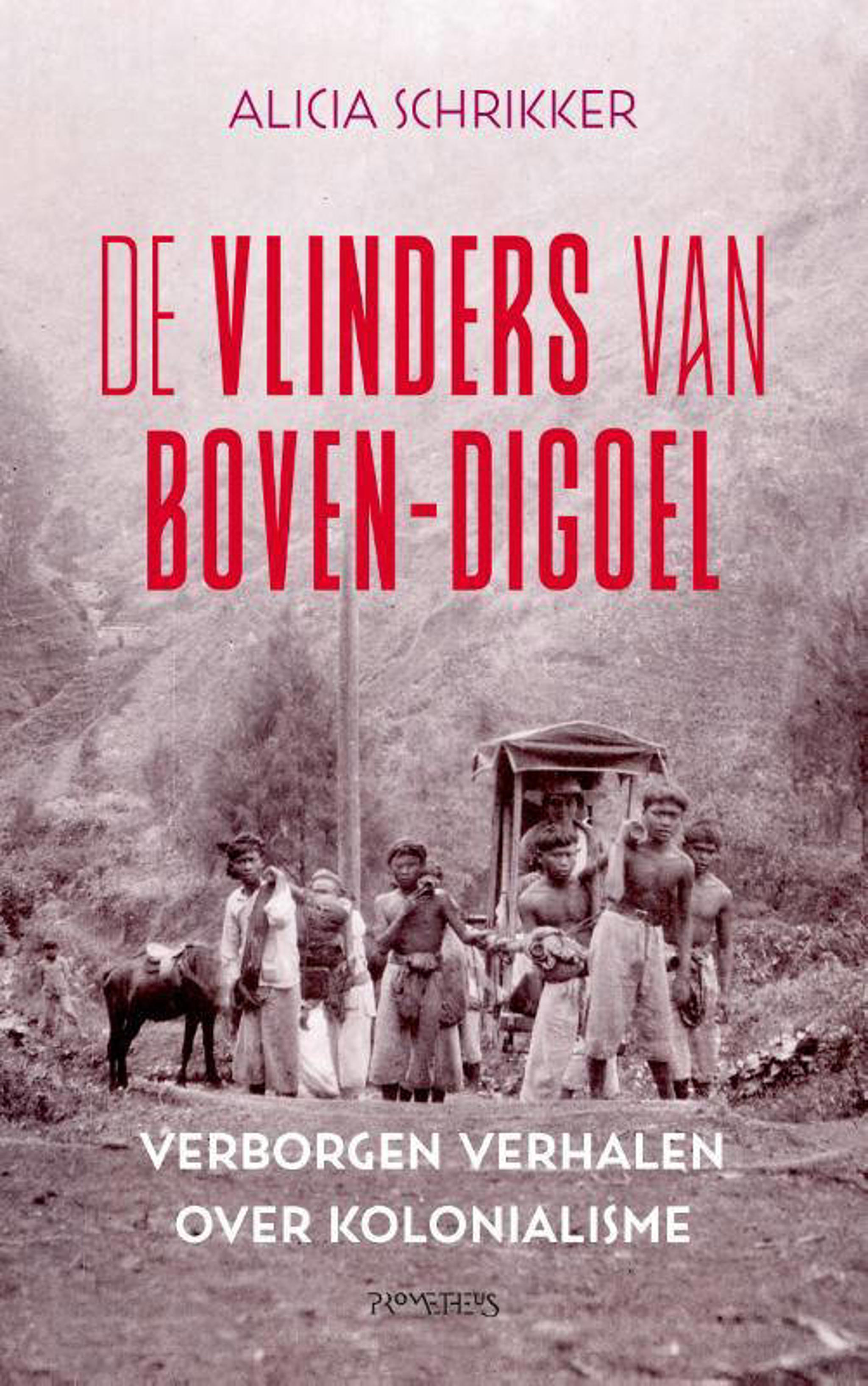 Alicia Schrikker De vlinders van Boven-Digoel | wehkamp
