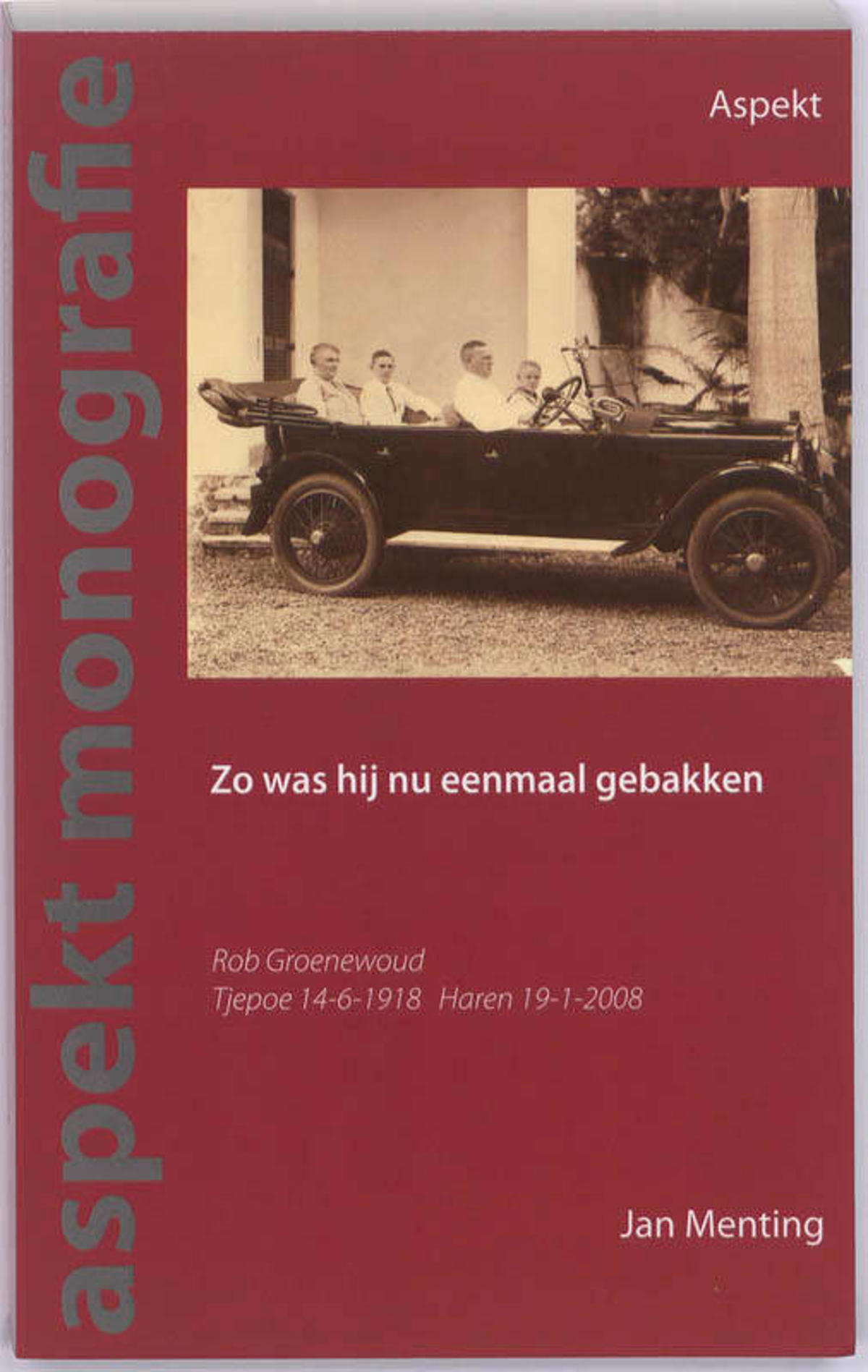 Jan Menting Aspect monografie: Zo was hij nu eenmaal gebakken | wehkamp