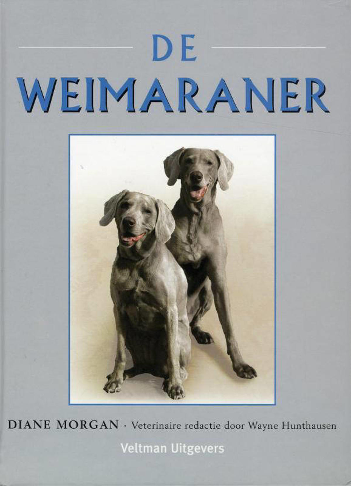 D. Morgan De Weimaraner kopen? | Morgen in huis | wehkamp