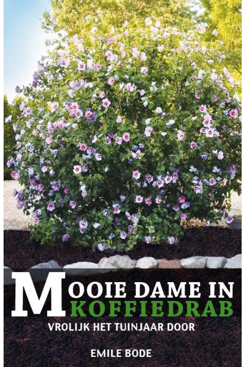 Emile Bode Mooie Dame in Koffiedrab | wehkamp