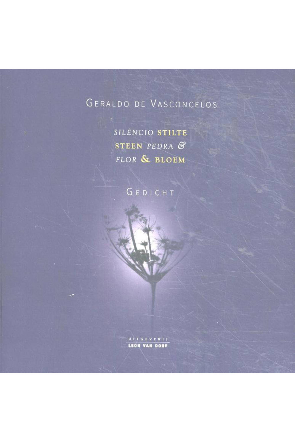 Geraldo de Vasconcelos Stilte Steen & Bloem | wehkamp