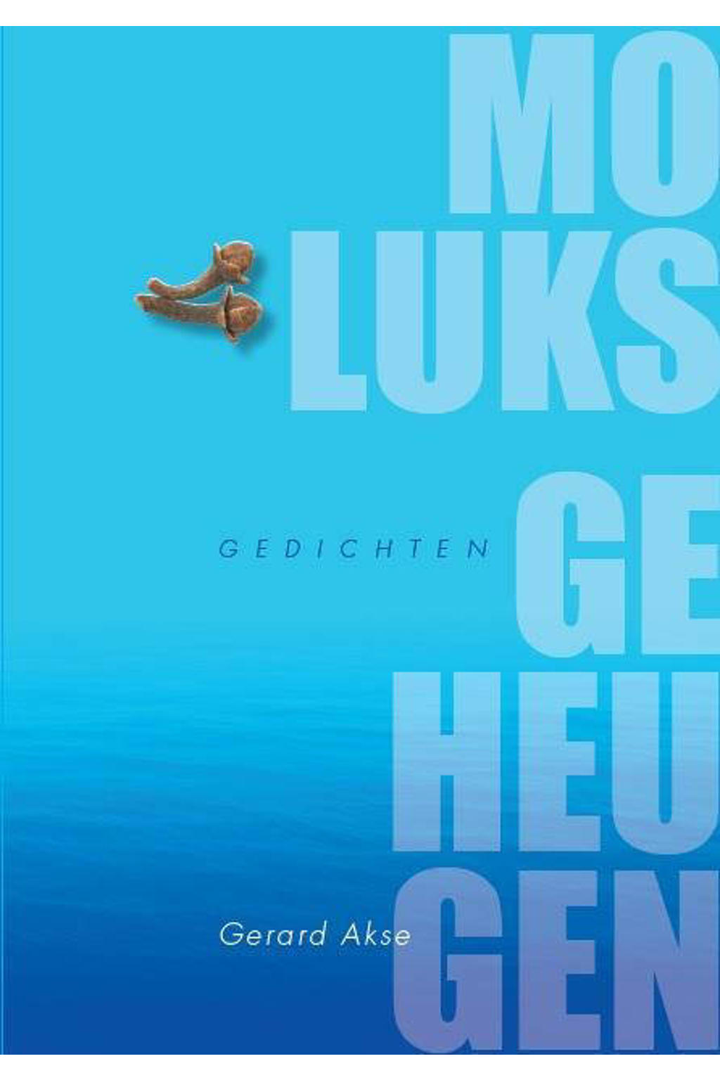 Gerard Akse Moluks geheugen kopen? | Morgen in huis | wehkamp