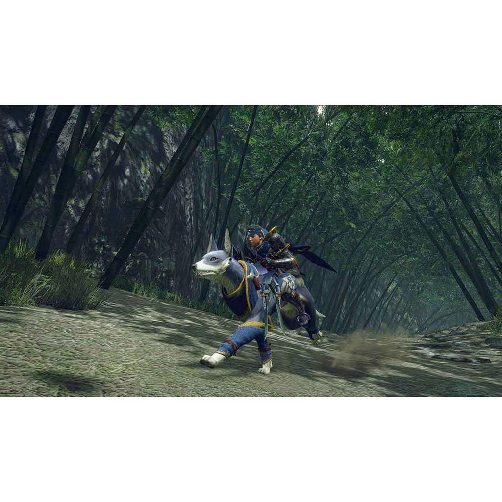 Nintendo Monster Hunter Rise Collector's Editie (Nintendo Switch) | wehkamp