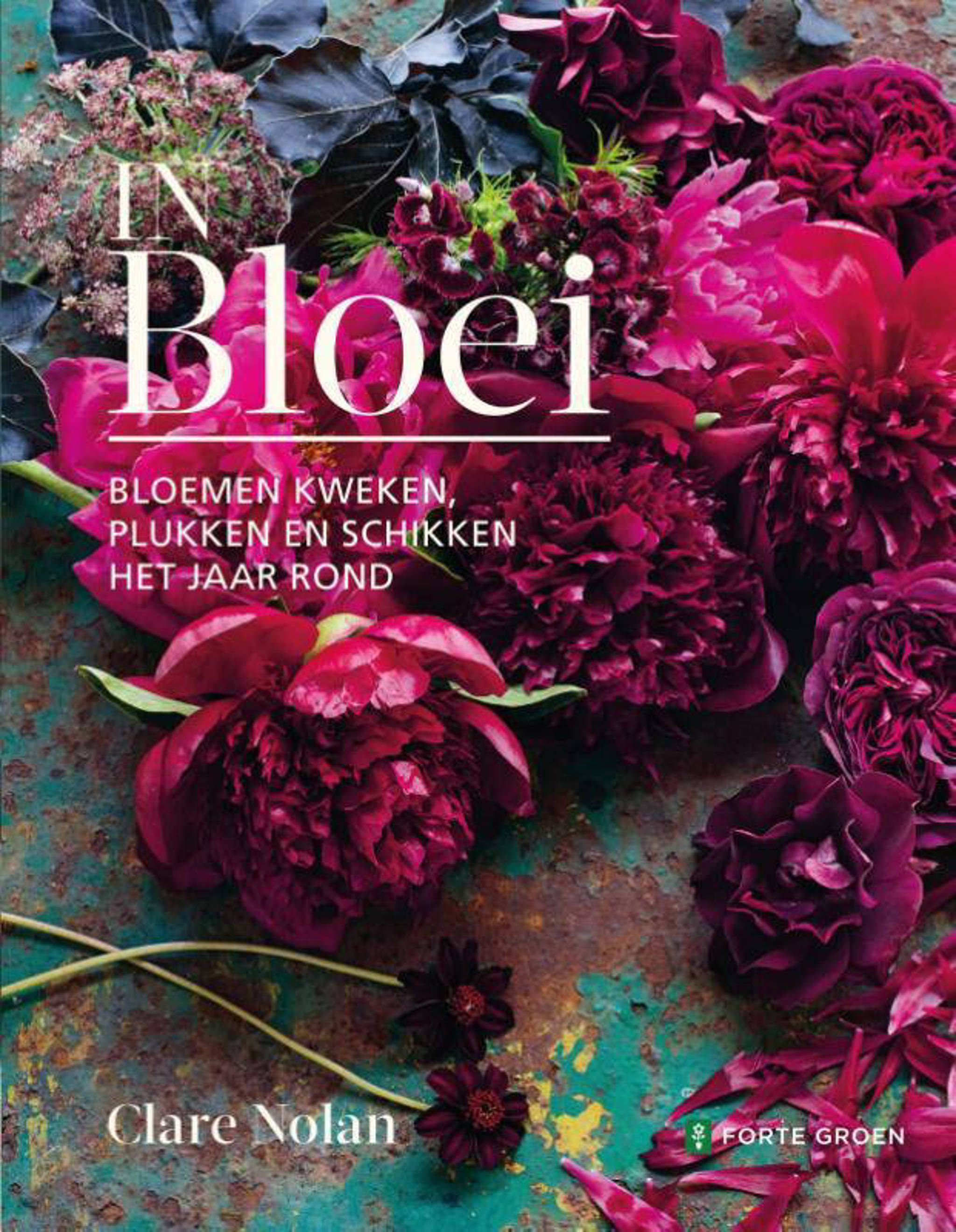 Clare Nolan In Bloei! | wehkamp